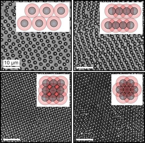 Presentation By M Rey At Uk Colloids Liverpool 17 July 2023 Soft Matter Lab