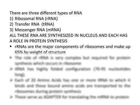 SOLUTION Lecture Rna Structure And Functions Studypool