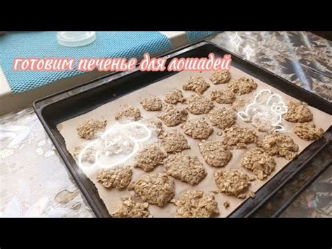 готовим печенье для лошадей 🍪 - YouTube