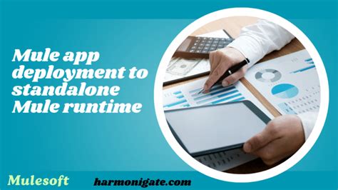 mule app deployment to standalone mule runtime