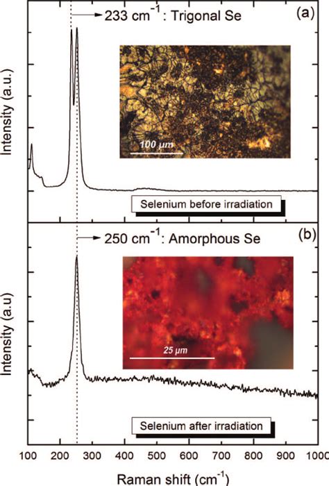 Raman Spectra Of The Selenium Target Pellet Before Irradiation A Download Scientific