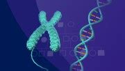 Biological Databases Introduction Bioinformatics Hub