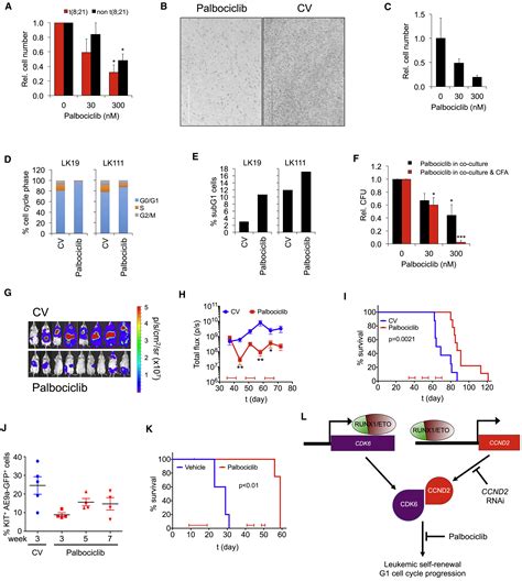 The Oncogenic Transcription Factor Runx1 Eto Corrupts Cell Cycle