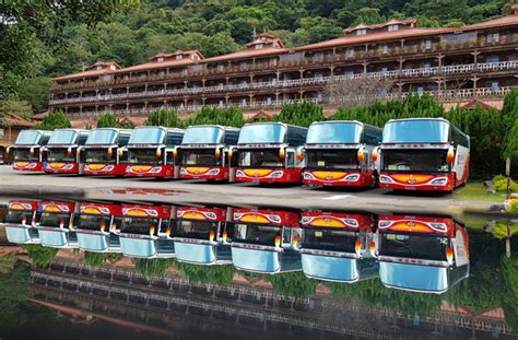 홍봉투어 대만 예스진지 야경 버스투어