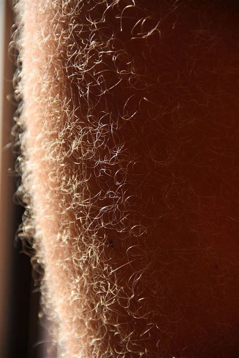 Leg Hair Alchetron The Free Social Encyclopedia