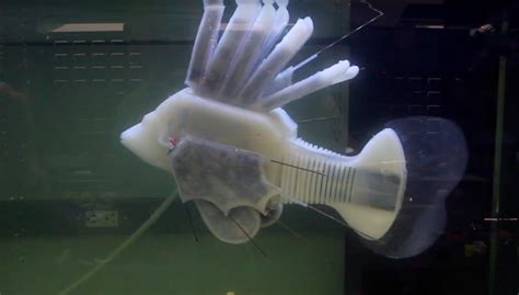 Robotic Fish Is Now Powered By Robot Blood For Greater Autonomy