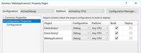 Understanding The Net Build Configuration System Submain