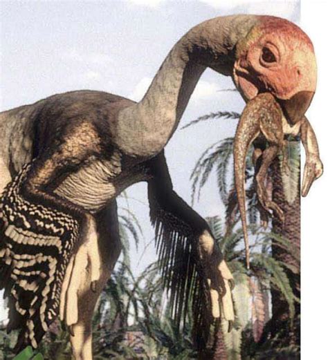 Agathaumas Gigantoraptor And Alectrosaurus