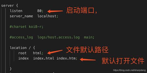 nginx 的设置默认路径和代理 nginx默认访问路径 csdn博客
