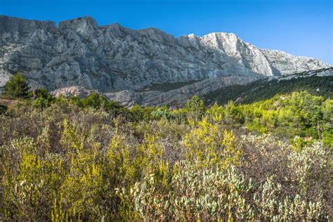 Rocks Covered With Grass Against A Background Of Blue Sky Close Up