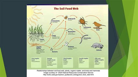 Soil Health Oer Commons