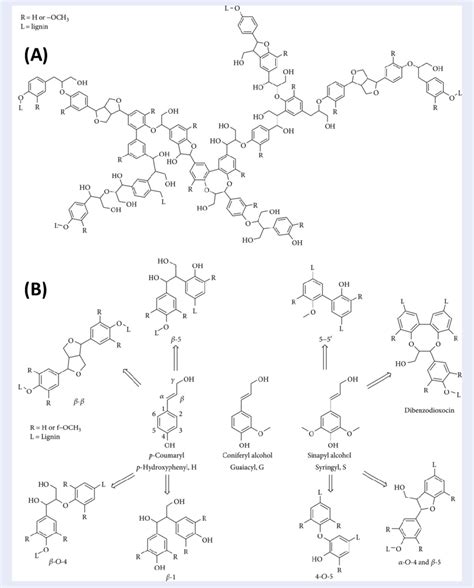 The Structure Of Lignin A A Model Structure And B The Main Units Download Scientific