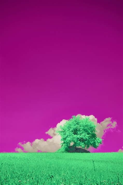 보랏빛 하늘 아래 푸른 들판에 있는 외로운 나무 사진 Unsplash의 무료 녹색 이미지