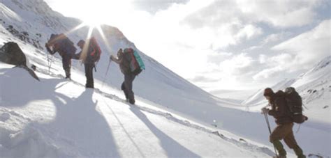 Devils Pass Film 2013 Moviepilotde