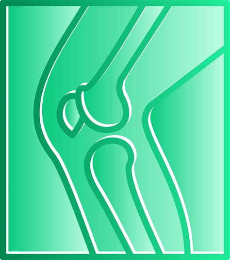 Leg X Ray Gradient Slip Icon 47501967 Vector Art At Vecteezy