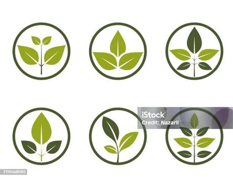 유기적 아이콘 세트 초록색 새싹이 원을 그리며 싹을 틔웁니다 자연 바이오 및 환경 친화적 인 기호 고립된 벡터 이미지 녹색에 대한 스톡 벡터 아트 및 기타 이미지 Istock