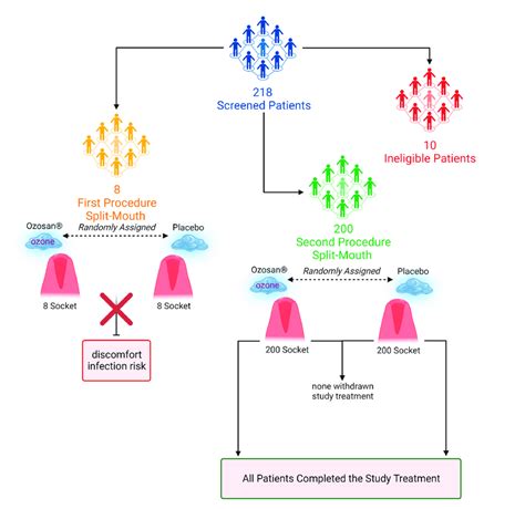 Design Of Experimental Set Up According To Consort Guidelines Download Scientific Diagram