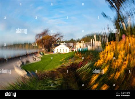 Using Sprial Intentional Camera Movement ICM To Frame Subject With Yellow Flowers This Image