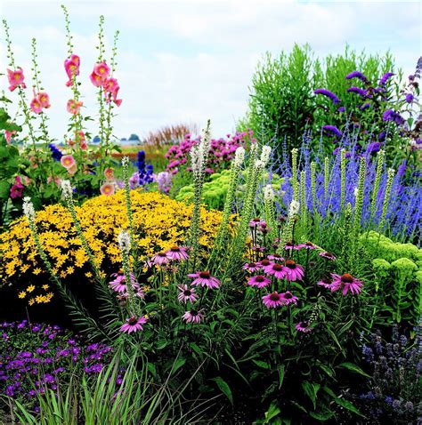 Best Perennial Garden Designs At Leonard Gagliano Blog