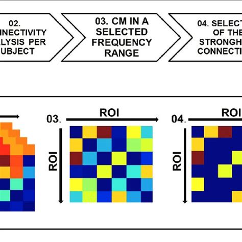 Flowchart Of The Functional Connectivity Analysis Top The Sequence Download Scientific