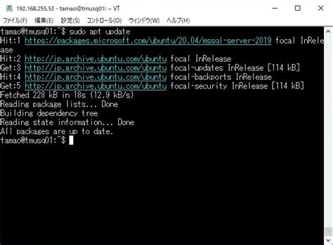 【sql server 2019】ubuntu 20 04 server へインストール たまテク