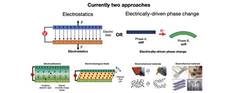 Soft Actuators And Sensors Pikul Research Group Uw Madison