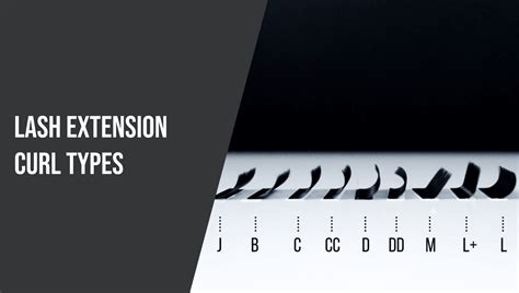 Lash Extension Curl Types The Lash Professional