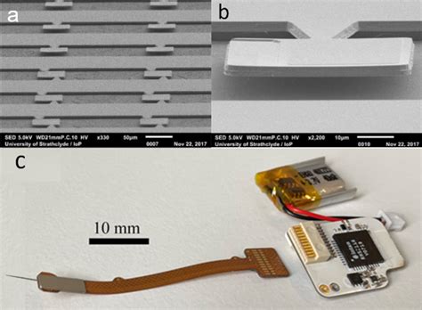 Optoelectronic Neural Probes University Of Strathclyde