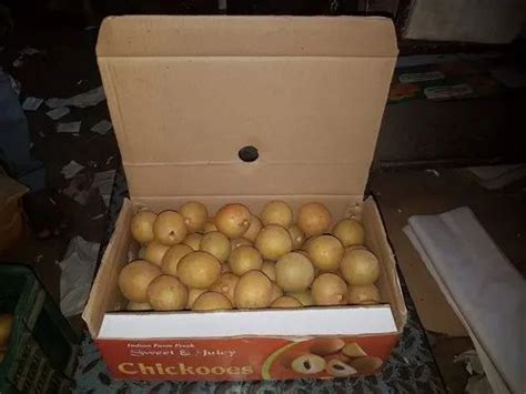 A Grade Chikoo Packaging Size 5 Kg At Rs 15 Kilogram In Surat Id 20879717862