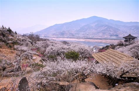 광양 출신 연예인 프로필 모음 아이돌 가수 배우 여배우 남배우 여자 배우 남자 배우 남자 연예인 여자 연예인 여가수 남가수 야구선수 축구선수 개그맨