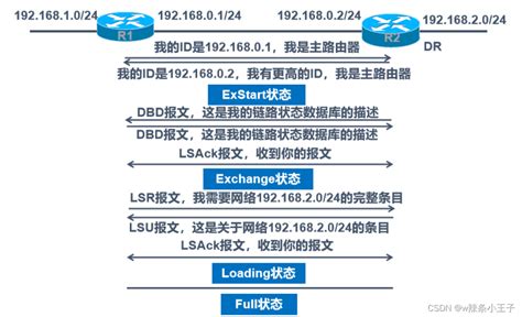 路由与交换技术 23 ospf链路状态信息同步过程 ospf发送更新时 发送什么 csdn博客
