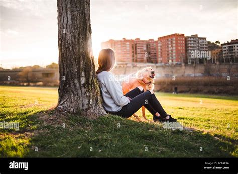 Woman Under Tree In Sunlight Stock Photo Alamy