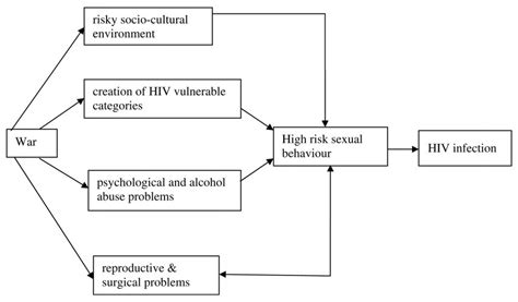 The Conceptual Framework Guiding The Analysis Of This Data Set