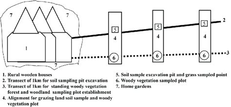 C Sampling Transect For Grazing Land And Scattered Trees 6c Shows