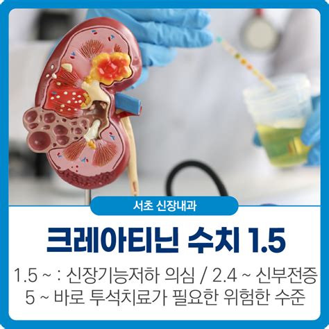 크레아티닌 수치 높으면 신장기능저하 서초 신장내과 네이버 블로그