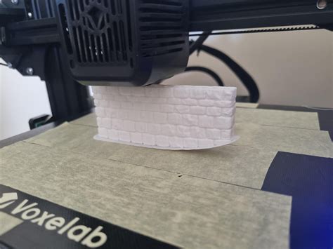Weird Print Error Rvoxelabaquila