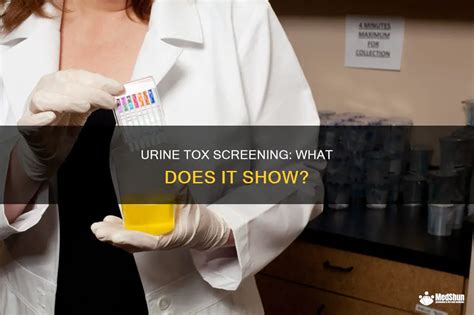 Urine Tox Screening What Does It Show Medshun
