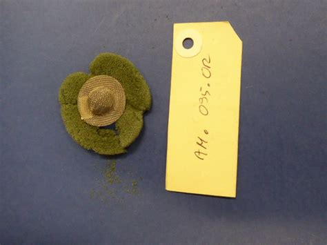 Charnley Acetabular Cement Restrictor Mexican Hat Am 035 Or Ehive