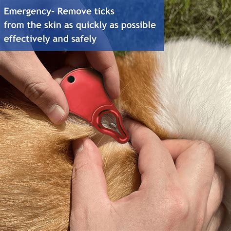 Tick Remover Tool Portable Tick Removal For Pet And Humans Safe And Reliable Pain Free