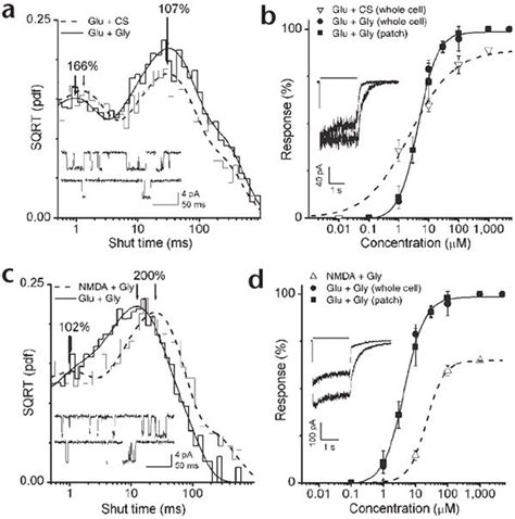 Subunit Dependent Contributions To Nmda Receptor Gating A The Download Scientific Diagram