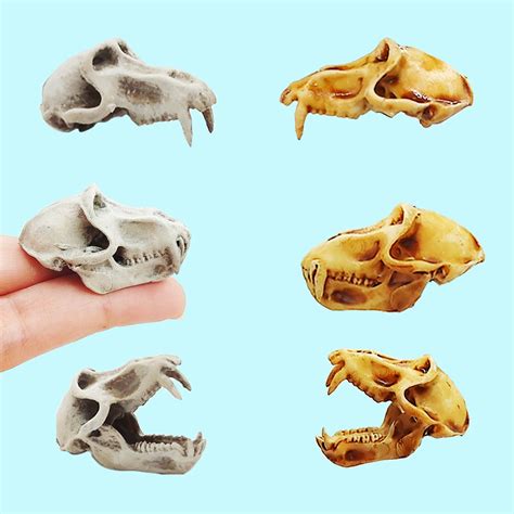 Baboon Skull Replica Miniature Primate Skull For 1 6 Scale Dioramas The Scale Grail