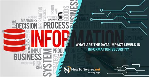 What Are The Data Impact Levels In Information Security Newsoftwares