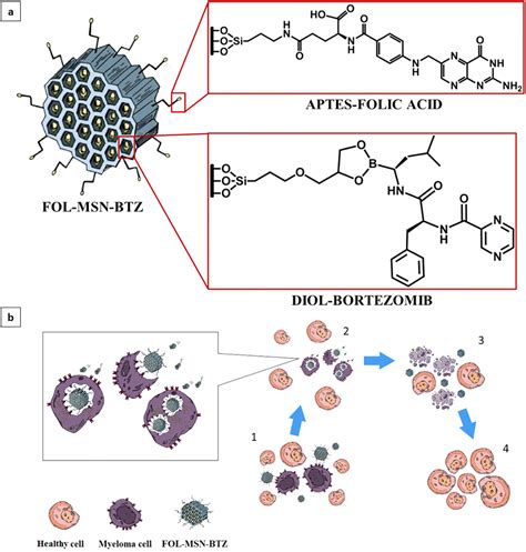 Engineered Mesoporous Silica Based Nanoparticles As Smart Chemotherapy Nanodevice For Bortezomib