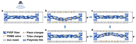 Acs Ami┃基于pvdf镂空管状纳米纤维的压电 摩擦电混合声能收集器件 X Mol资讯