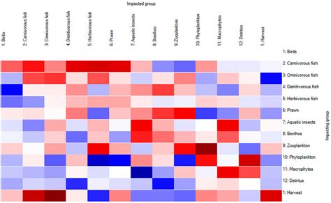 Mixed Trophic Impacts Of The Functional Groups In Dcr Ecosystem Showing