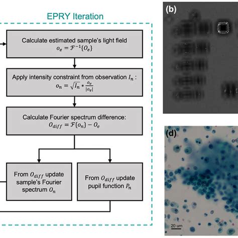 Digital Refocusing Ability Of Fpm A Flowchart Of Fpm Epry Digital Download Scientific