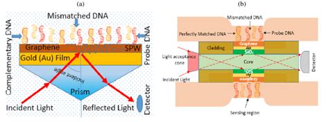 Schematic Of The N Layerd Model For Surface Plasmon Resonance Spr Download High