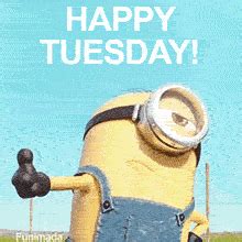 Funny Happy Wednesday Brad Pitt  Funimada