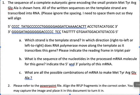 Solved The Sequence Of A Complete Eukaryotic Gene Chegg