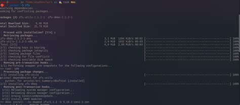 Zfs With Virtual Disks First Lets Create A Virtual Disk Image By